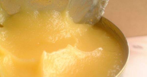 Cow Ghee versus Buffalo Ghee - Facts & Benefits of both